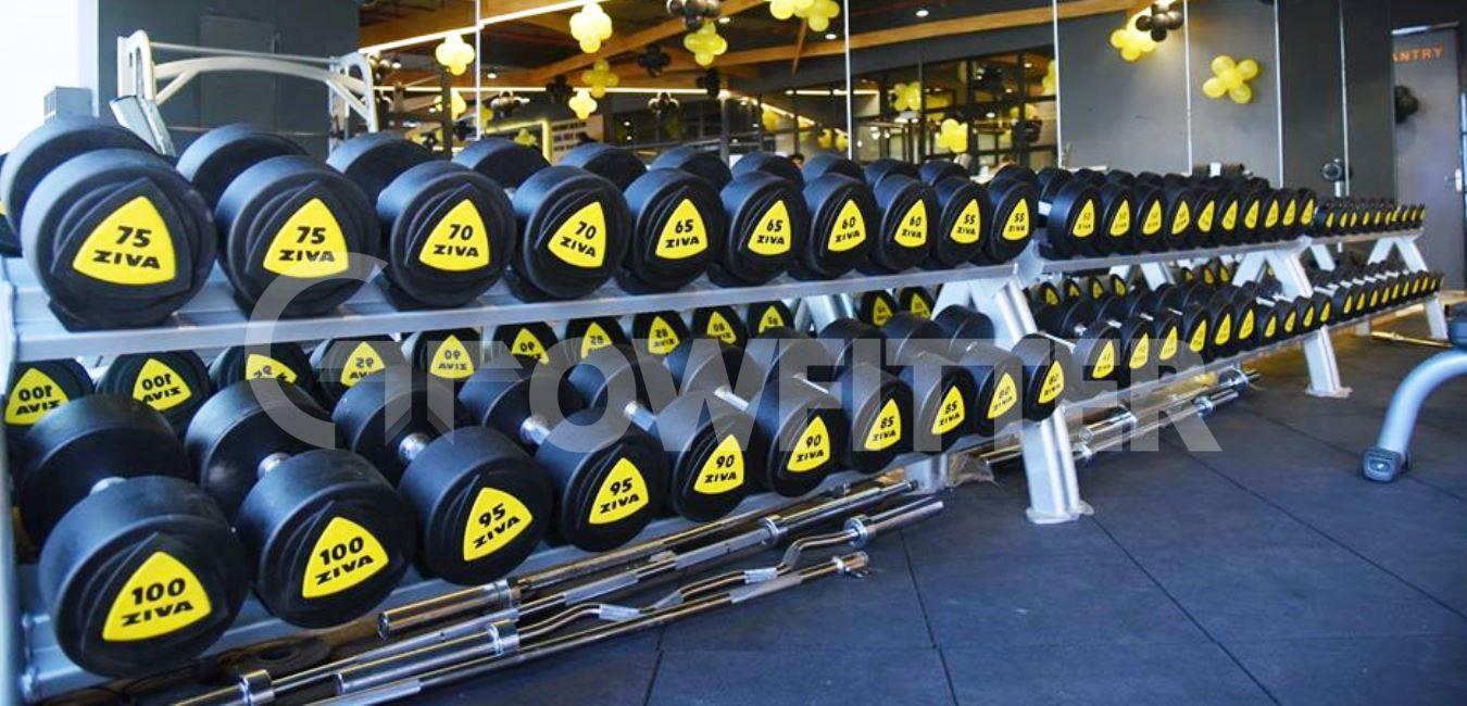 Gold S Gym Sector 104 - Noida | Gym Membership Fees, Timings, Reviews, Amenities | Growfitter
